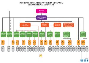 ORGANISATION STRUCTURE - The Insurance Regulatory Authority of Uganda
